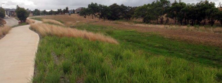 Urban design to enhance green space habitat values and mitigate urban ...